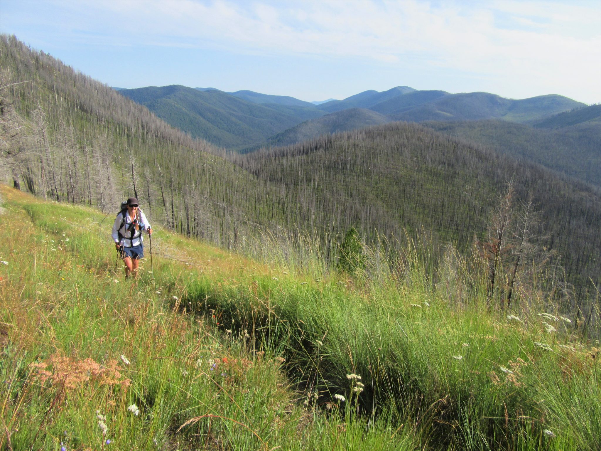 Hikes in Washington State: Tips From Expert Hiker and Author